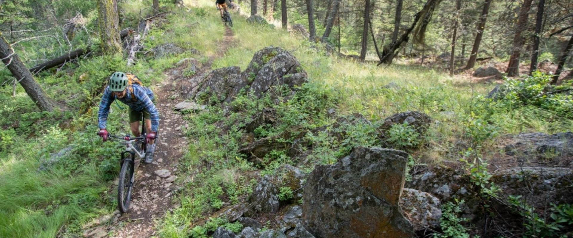 The History of Cranbrook: From a Striped Trail to a World-Class Center